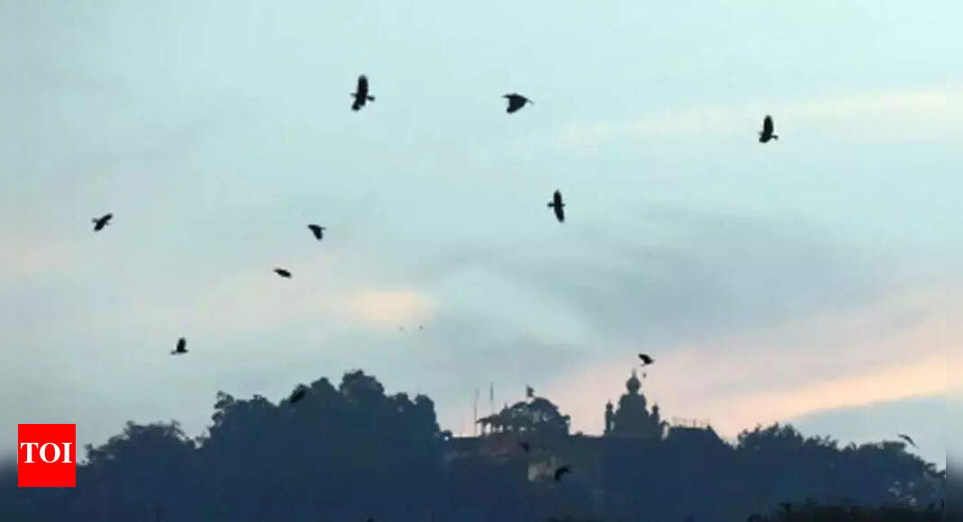 Wind Pattern To Keep Temperatures Above 13°c For Next Four Days | Pune ...