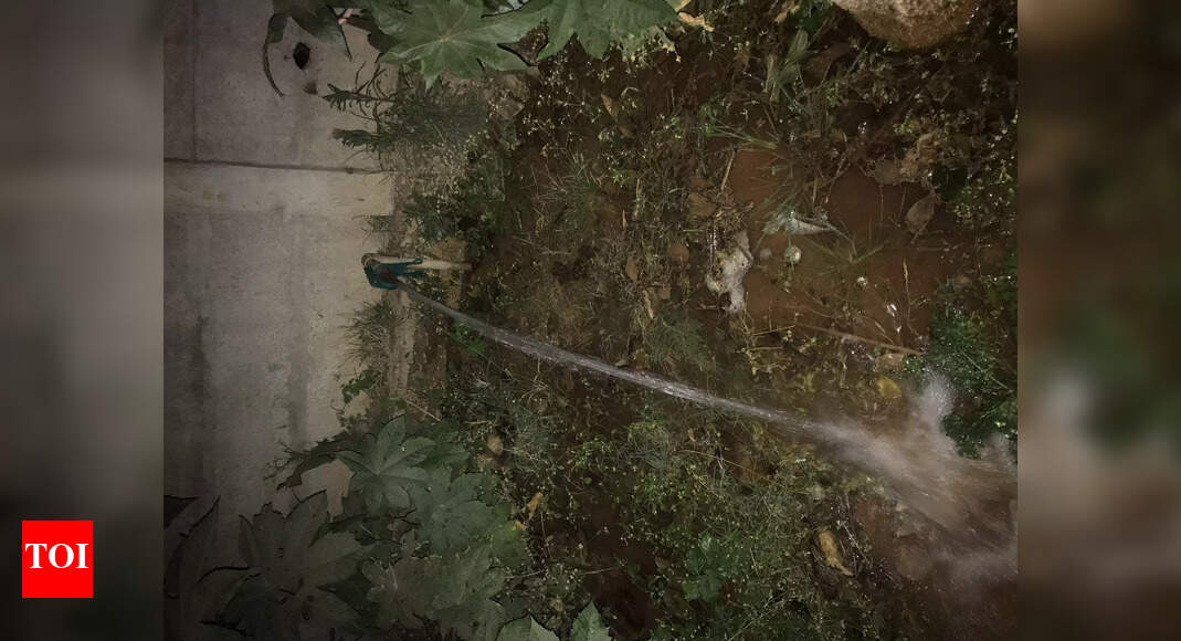Water being wasted every day - Times of India