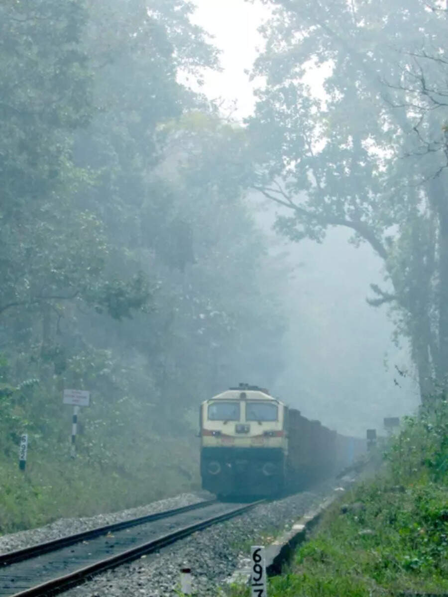 Most scenic train journeys in South India | Times of India