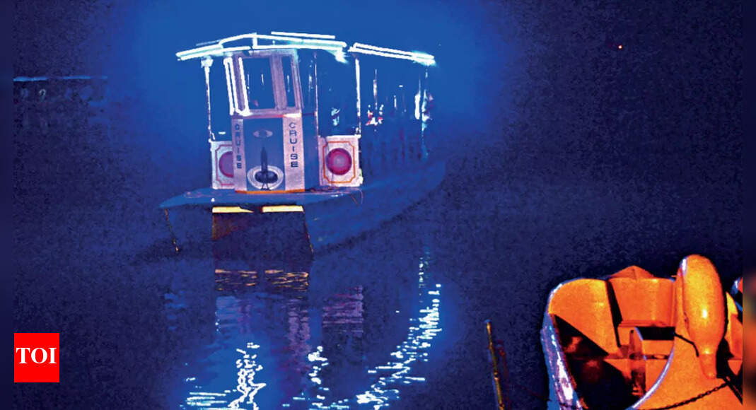 Sukhna Party Boat Sinks Before Sailing | Chandigarh News - Times of India