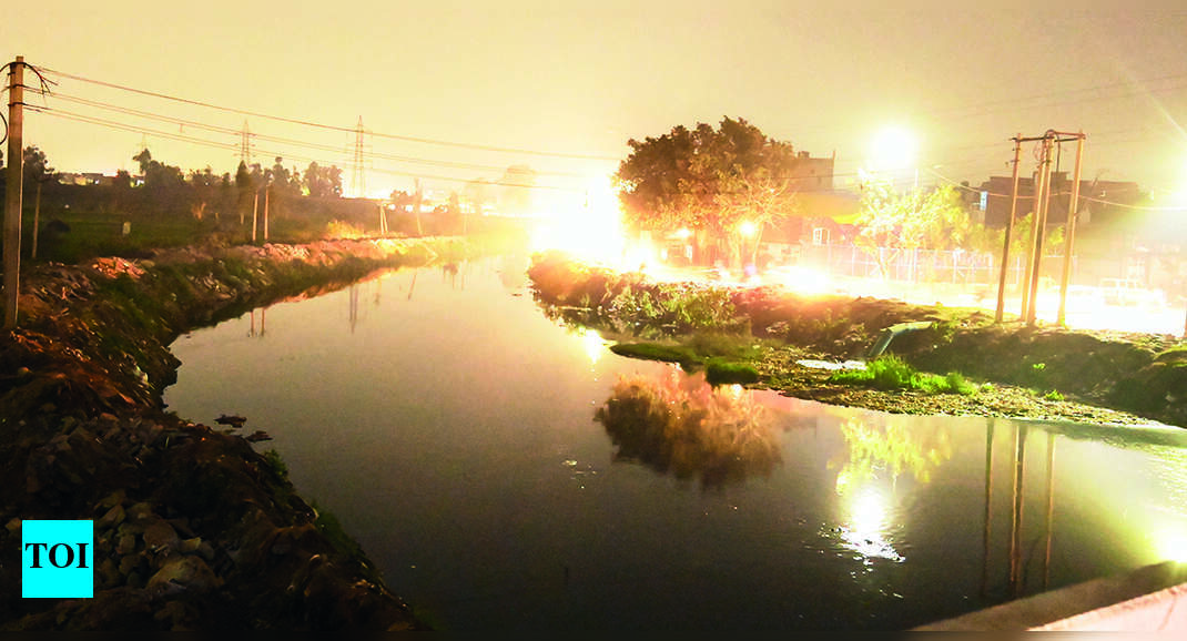Buddha Nullah: March For Environment On Buddha Nullah Banks | Ludhiana ...