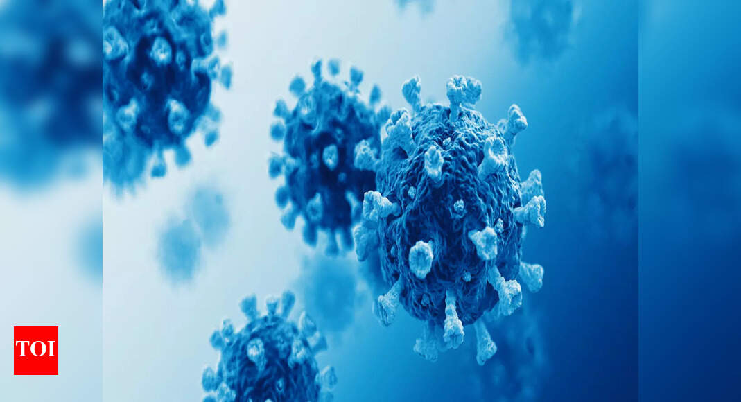 Coronavirus: Know how COVID virus mutates inside our body - Times of India