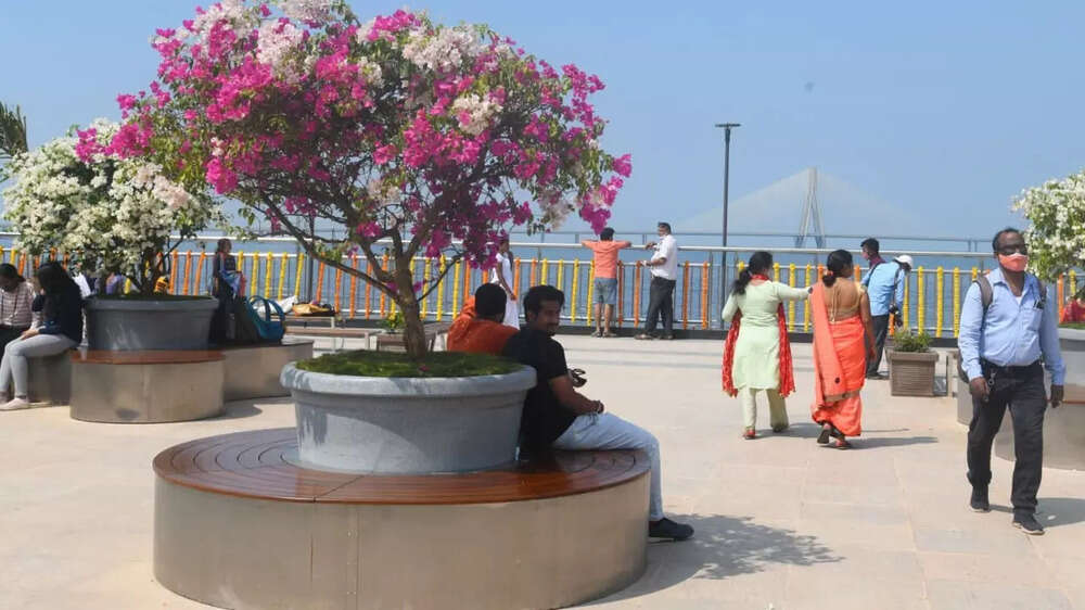 In pics: Picturesque view of Bandra-Worli Sea Link from Dadar Chowpaty ...
