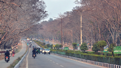 Winter Chill With Sunshine To Greet V-day Revellers | Ranchi News ...