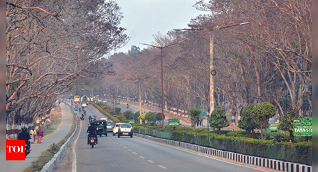 Imd: Winter Chill With Sunshine To Greet V-day Revellers | Ranchi News ...