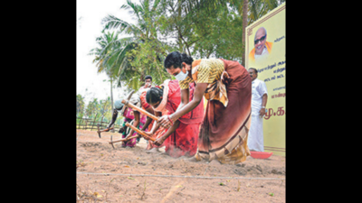 Keeladi: Cm Launches Keeladi Phase-viii Work | Madurai News - Times of ...