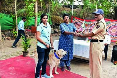 End-of-watch Call For Retiring Batch Of K9 Dog Squad Working With ...