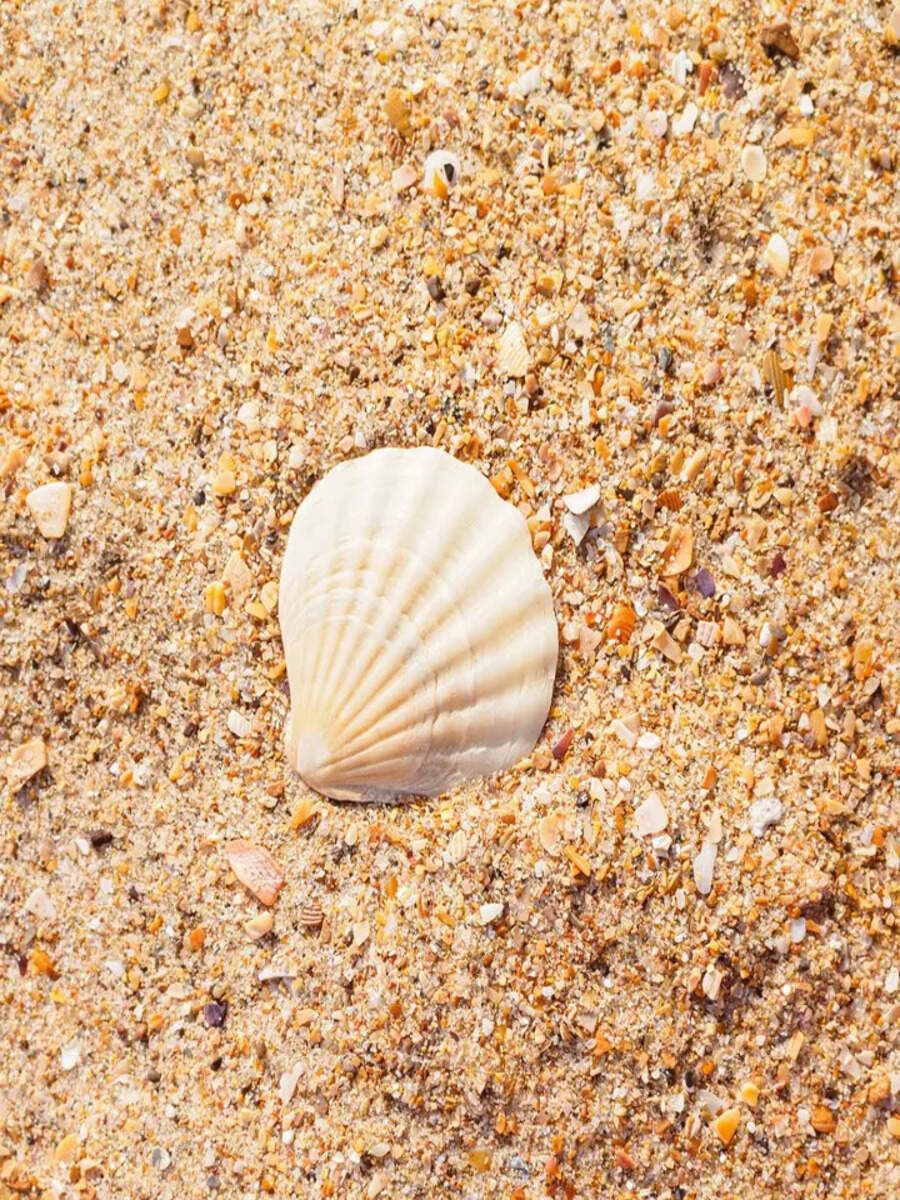 Russia Beaches: Russia’s most stunning beaches! | Times of India