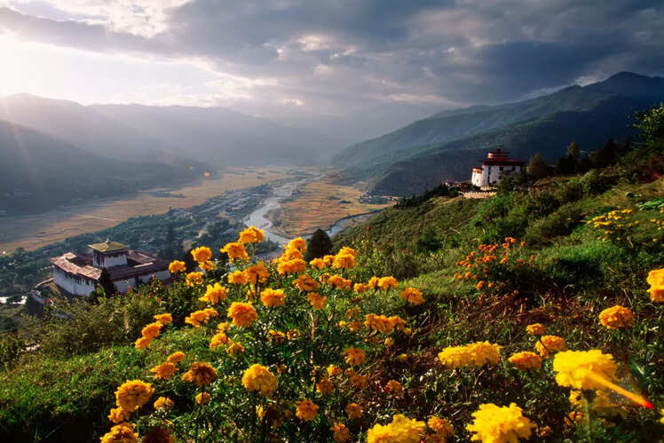 Spring in Bhutan—romantic experiences in a happy country | Times of ...