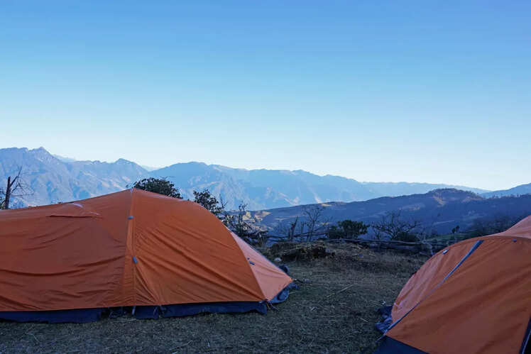 Spring in Bhutan—romantic experiences in a happy country | Times of ...