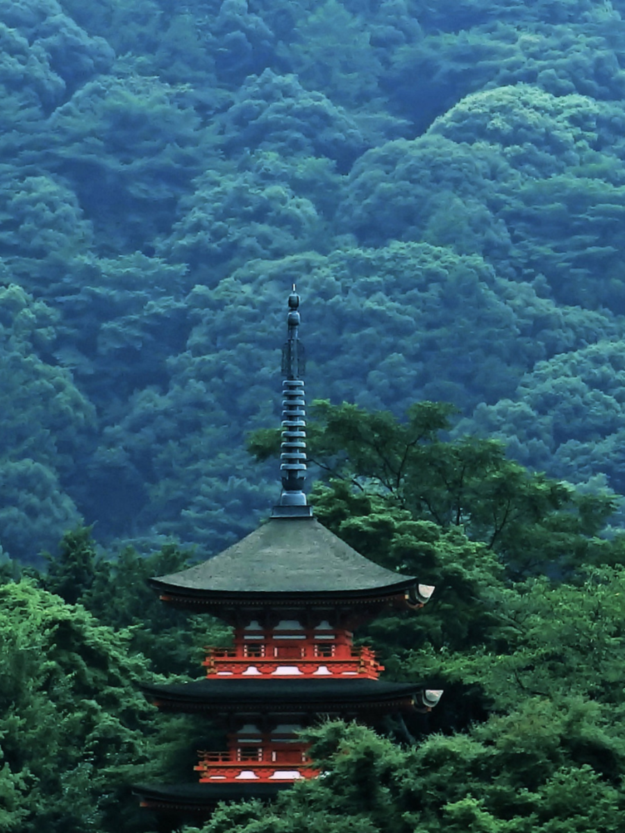 Most Beautiful Cities in Asia: Asia’s most beautiful cities | Times of ...