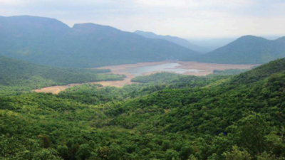 Goa: Good scope for hydro projects at Harvalem, Anjunem, says report ...