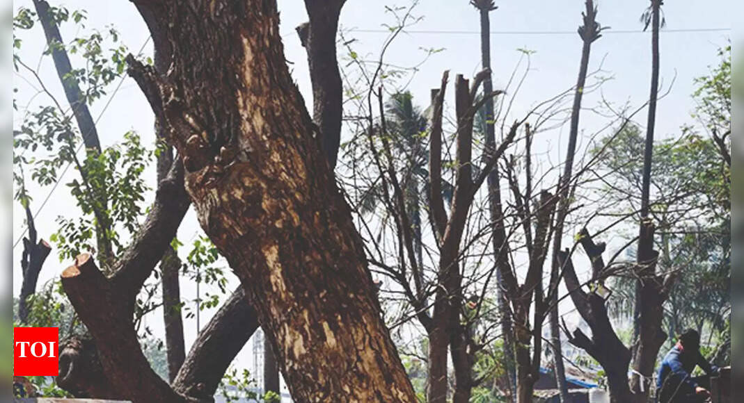 Trees ‘hacked’ For Hoarding View At Railway Cops Colony | Mumbai News ...
