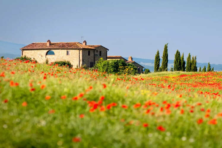 Best places to see spring flowers bloom | Times of India Travel