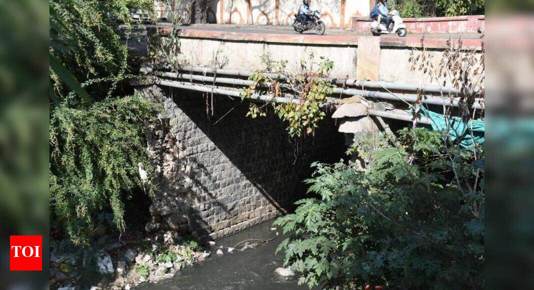 NMC plans to replace dilapidated Nag River bridge | Nagpur News - Times ...