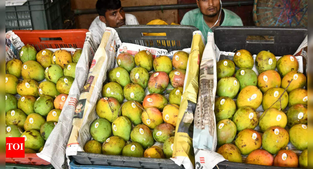 After A Bitter 2021, Mango Exports Likely To See Surge This Year ...