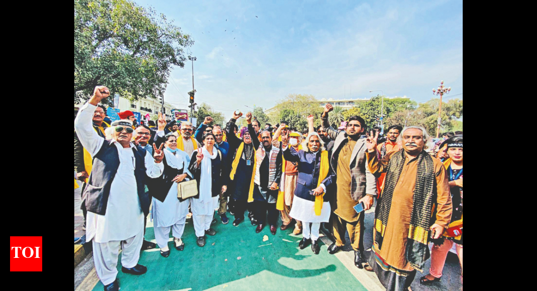 Punjabi: On Mother Tongue Day, Punjabi Gets Much-needed Voice In ...