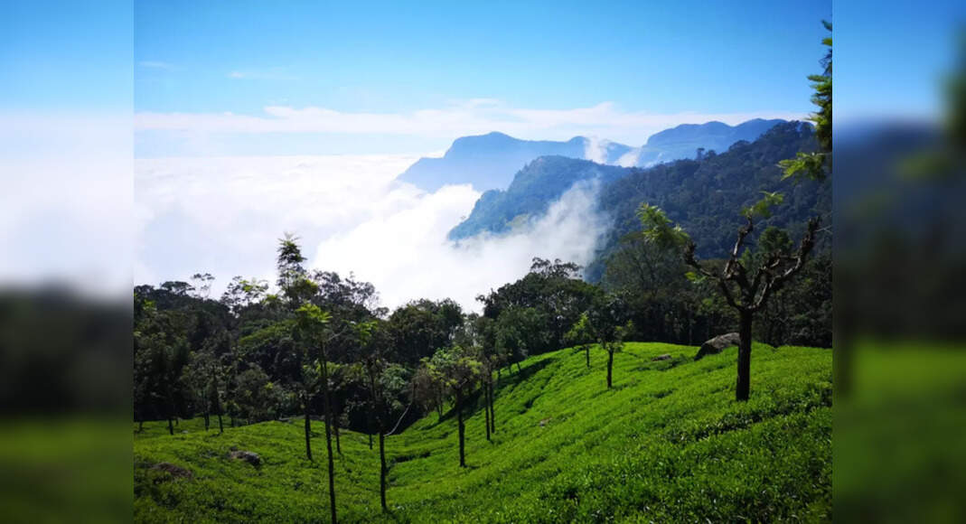 Visiting South Indian hills during spring | Times of India Travel
