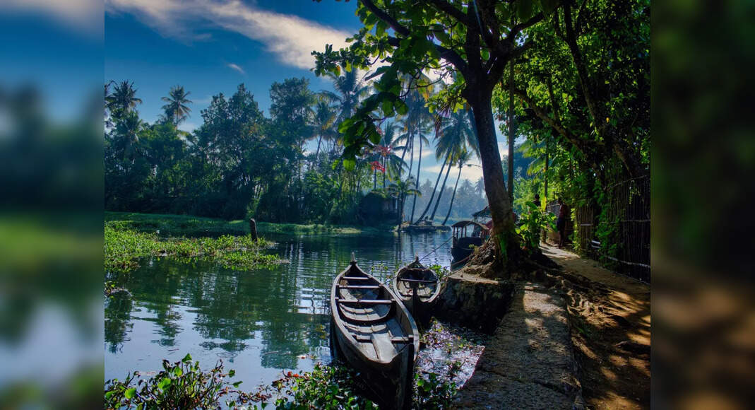 Kerala in March: an ode to natural beauty! | Times of India Travel