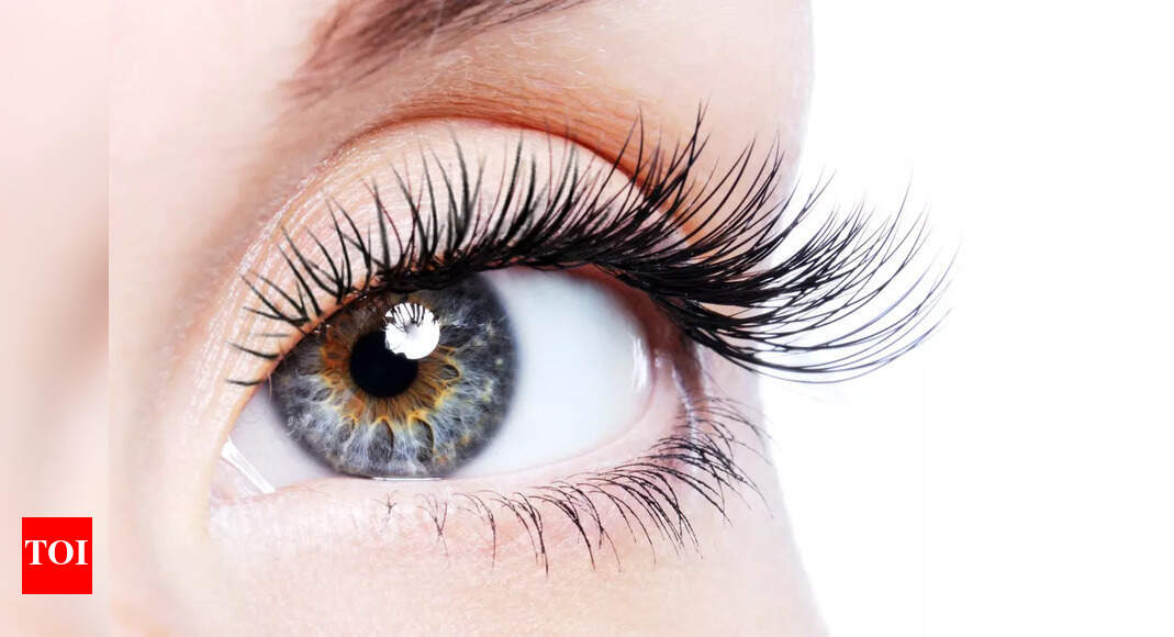 Everything you want to know about false eyelashes - Times of India
