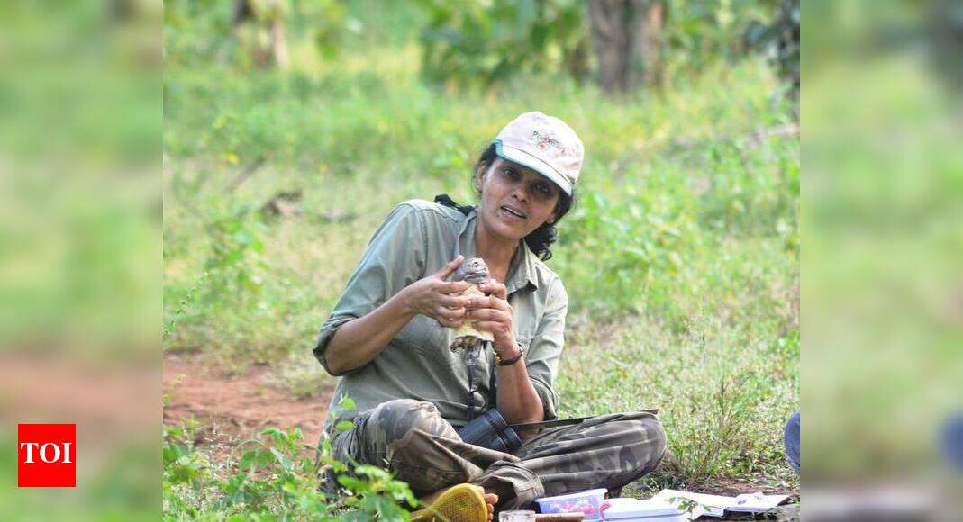 Owl researcher Mehta gets global recognition | Nagpur News - Times of India