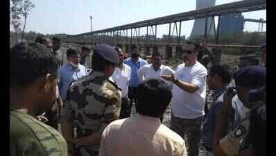 Provide natural habitat to captured tigers: Eco-Pro | Nagpur News ...