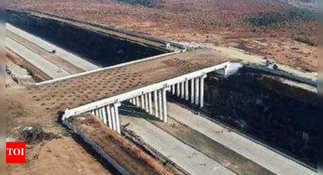 First in country: A flyover for animals on Mumbai-Nagpur highway ...