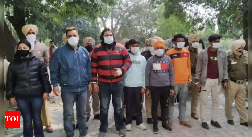 Punjab: 8 bank robbers arrested by Amritsar police | Amritsar News ...
