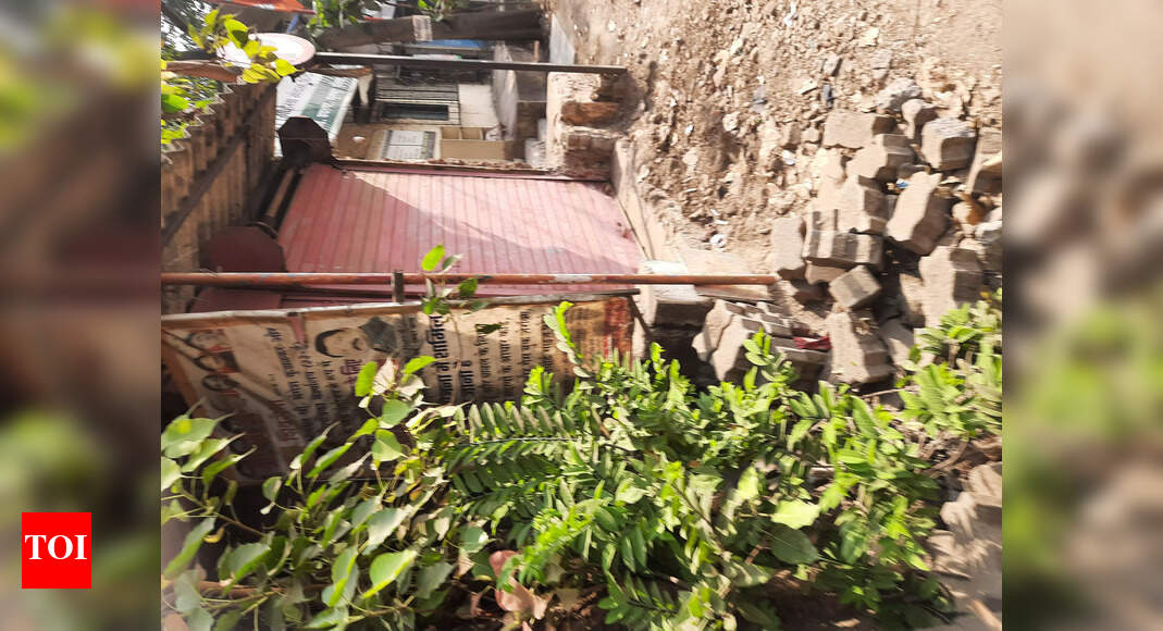 Illegal Shop at Shell Colony Road Chembur - Times of India