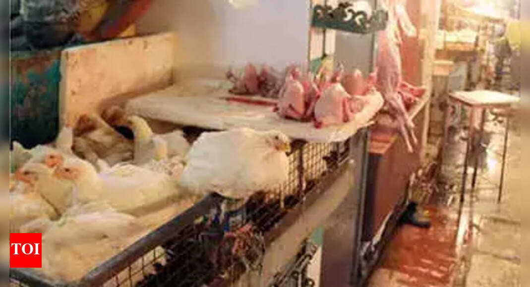 Delhi: Meat shops can now be closer to religious places | Delhi News ...