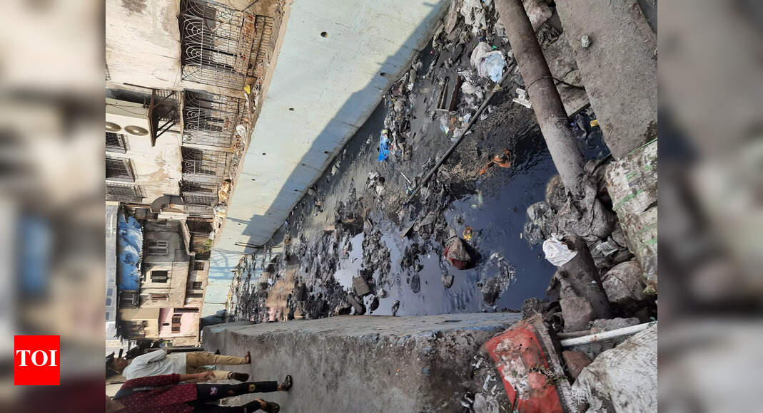 Garbage dumped blocking sewage Shell Colony Nalla - Times of India