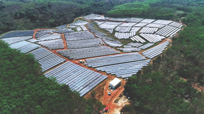 Cial To Launch 12mw Solar Plant At Payyannur | Kochi News - Times of India