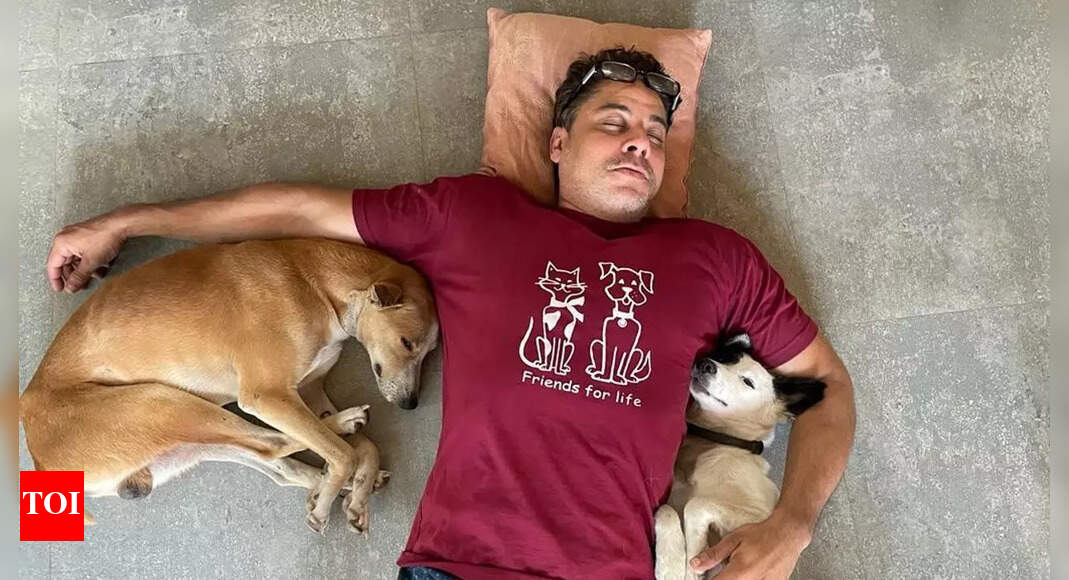 Cyrus Broacha's four commandments - Times of India