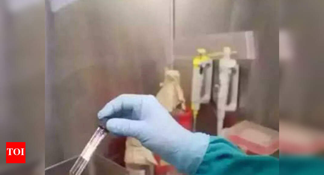 Montessori lab in Delhi govt school for hands-on learning | Delhi News ...