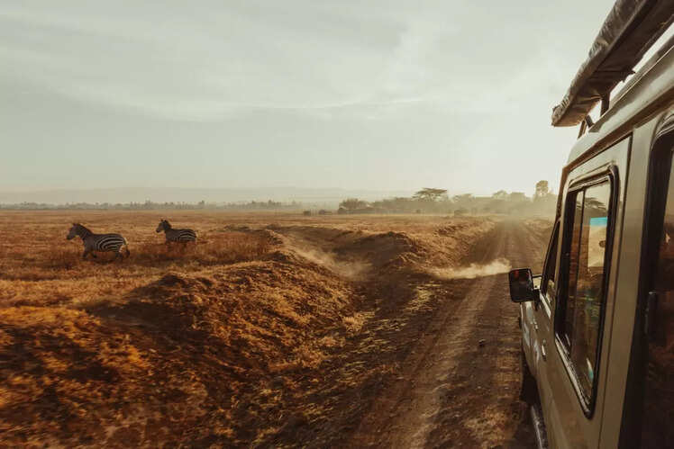 Out in the wilderness—Africa’s most spectacular safari destinations ...