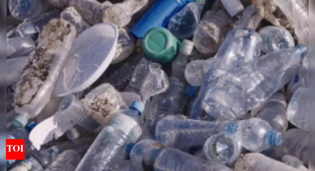 Country is committed to address plastic pollution: India at UNEA ...