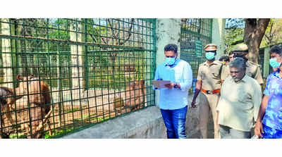 Voc Park Zoo To Become Memory | Coimbatore News - Times of India