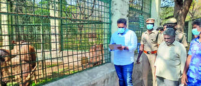 Voc Park Zoo To Become Memory | Coimbatore News - Times of India