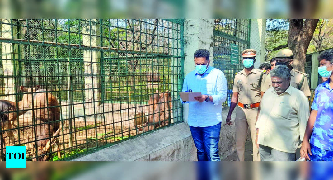 Voc Park Zoo To Become Memory | Coimbatore News - Times of India