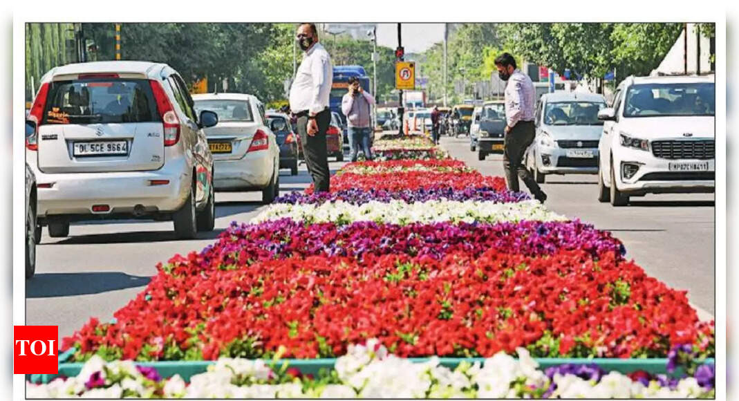 Red carpet welcome on Delhi's Barakhamba Road | Delhi News - Times of India