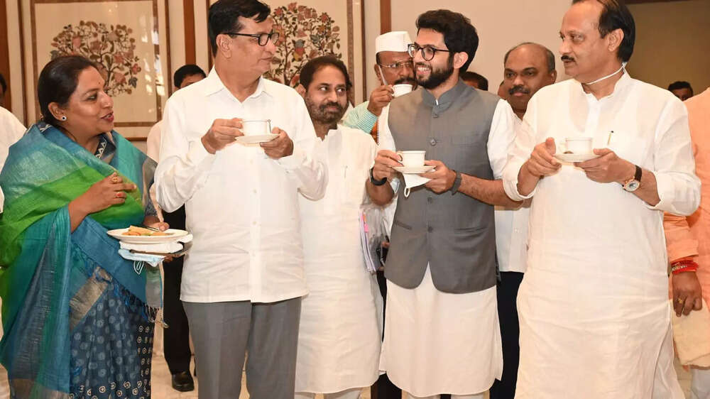 In pics: MVA hosts customary tea party ahead of budget session | The ...