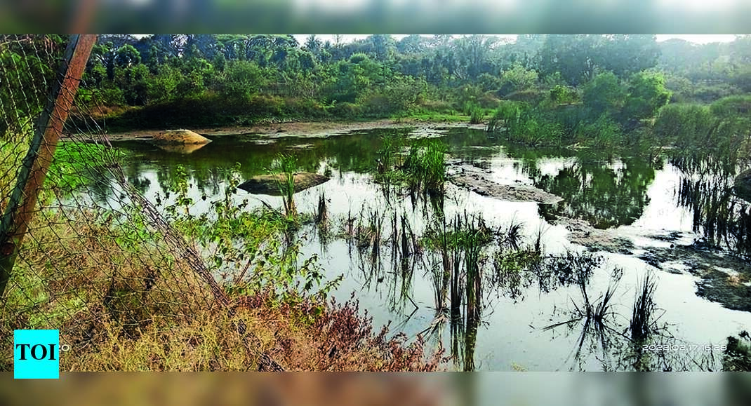 5 Years After Fund Allocation, Lake Rejuvenation Work Drags | Bengaluru ...
