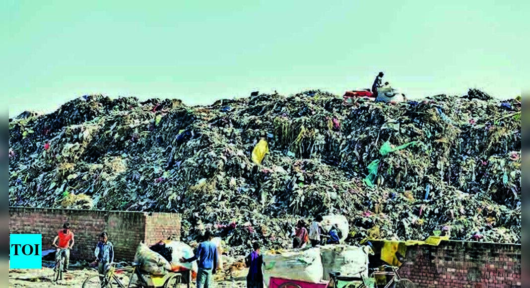 Ropar: Iit Presentation On Solid Waste Mgmt Plan Soon | Chandigarh News ...