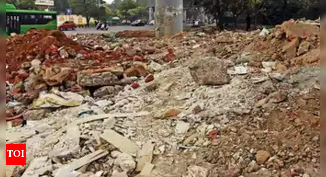 New Delhi Municipal Council demarcates 15 sites for dumping of ...