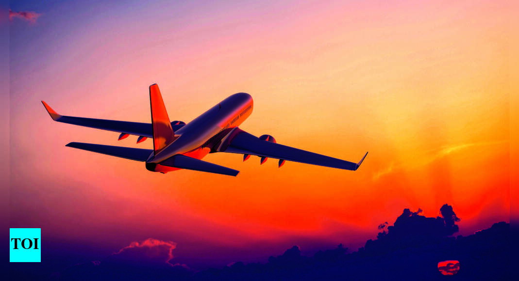 Delhi Flight Is Likely To Resume By Month end Ludhiana News Times
