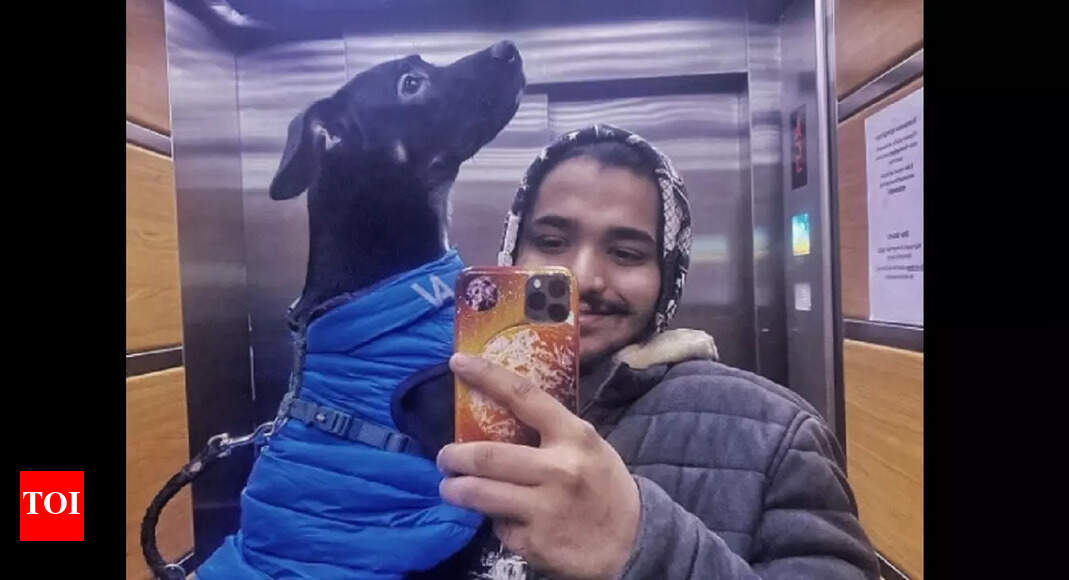 Ukraine war: Rishabh Kaushik, with pet Maliboo, reaches home in ... Ukraine war: Rishabh Kaushik, with pet Maliboo, reaches home in ...