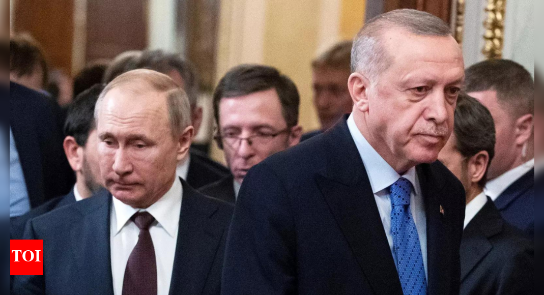Erdogan: Erdogan urges Putin to declare Ukraine ceasefire, sign peace ...