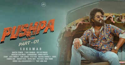 Allu Arjun and Rashmika Mandanna starrer Pushpa: The Rise (Telugu) set ...