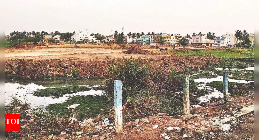 Silt Fills Up Parts Of Sembakkam Lake | Chennai News - Times of India
