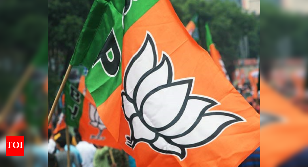 Bjp: Bjp And Jd(u) Zero In On Candidates | Patna News - Times of India